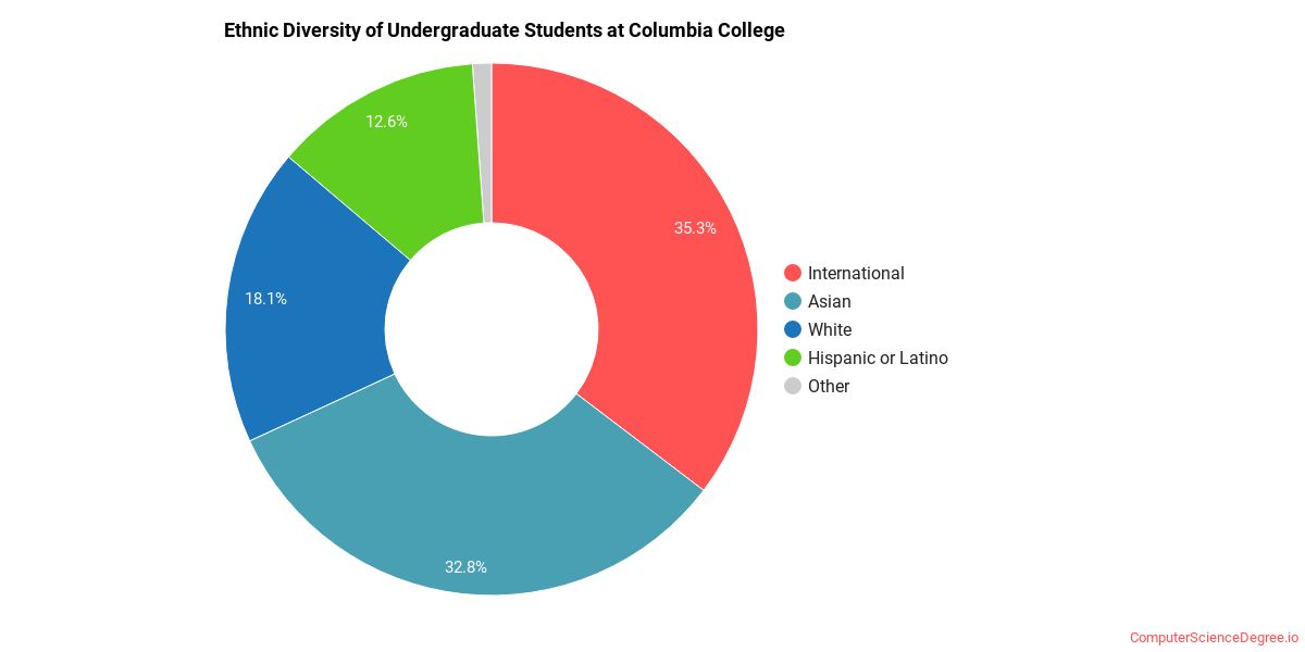 Computer Science Majors at Columbia College - Computer Science Degree