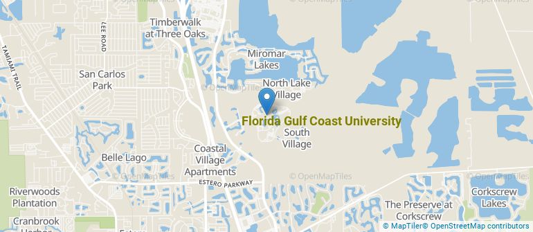 Florida Gulf Coast University Computer Science Majors - Computer ...