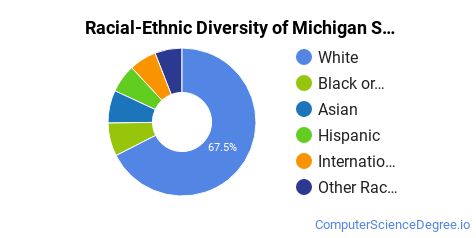 Michigan State University Computer Science Majors - Computer Science Degree