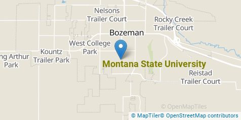 Montana State University Computer Science Majors - Computer Science Degree