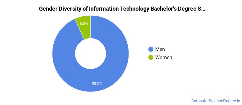 The IT Major at Western Governors University - Computer Science Degree