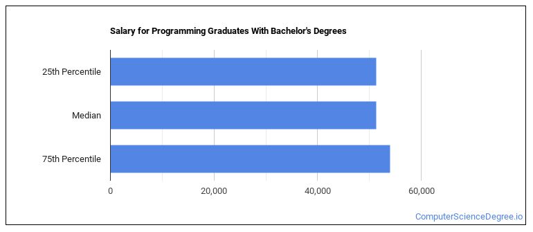 Bachelor's Degree in Computer Programming - Computer Science Degree