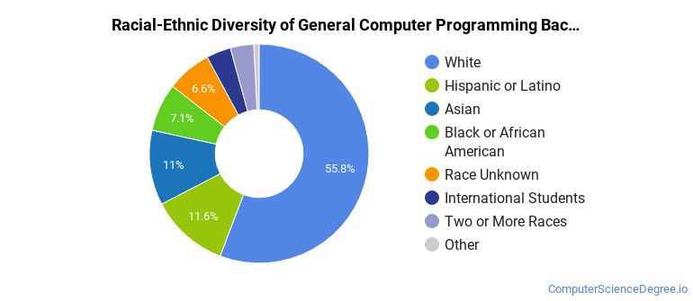 Bachelor's Degree in General Computer Programming - Computer Science Degree