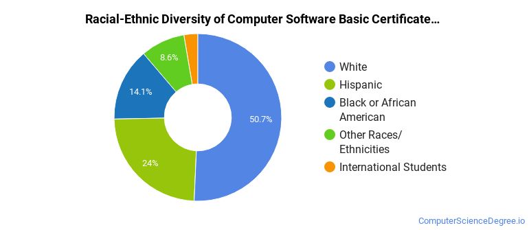 Basic Certificate in Computer Software & Applications - Computer ...